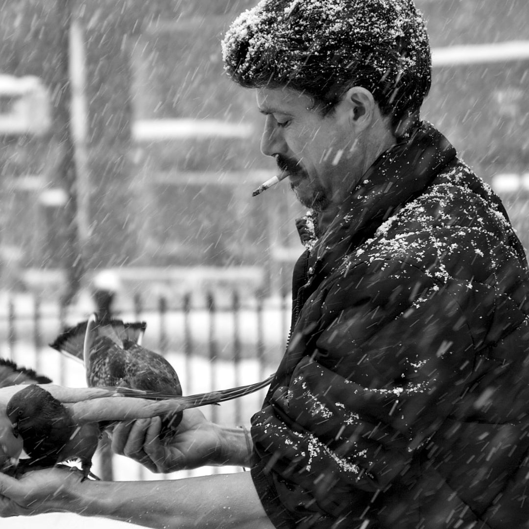 The Smoking Pigeon Feeder of the 2010 Blizzard – Wallace